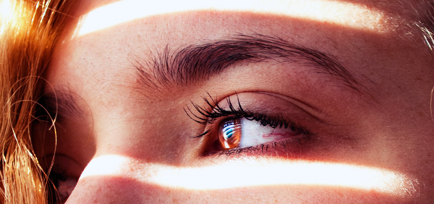 How Our Eyes Process Light - The First Step of Seeing
